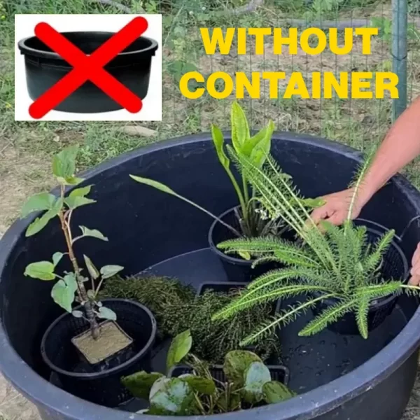 Mini Pond Set diam.88 - without container - Aquatic Plants Nursery